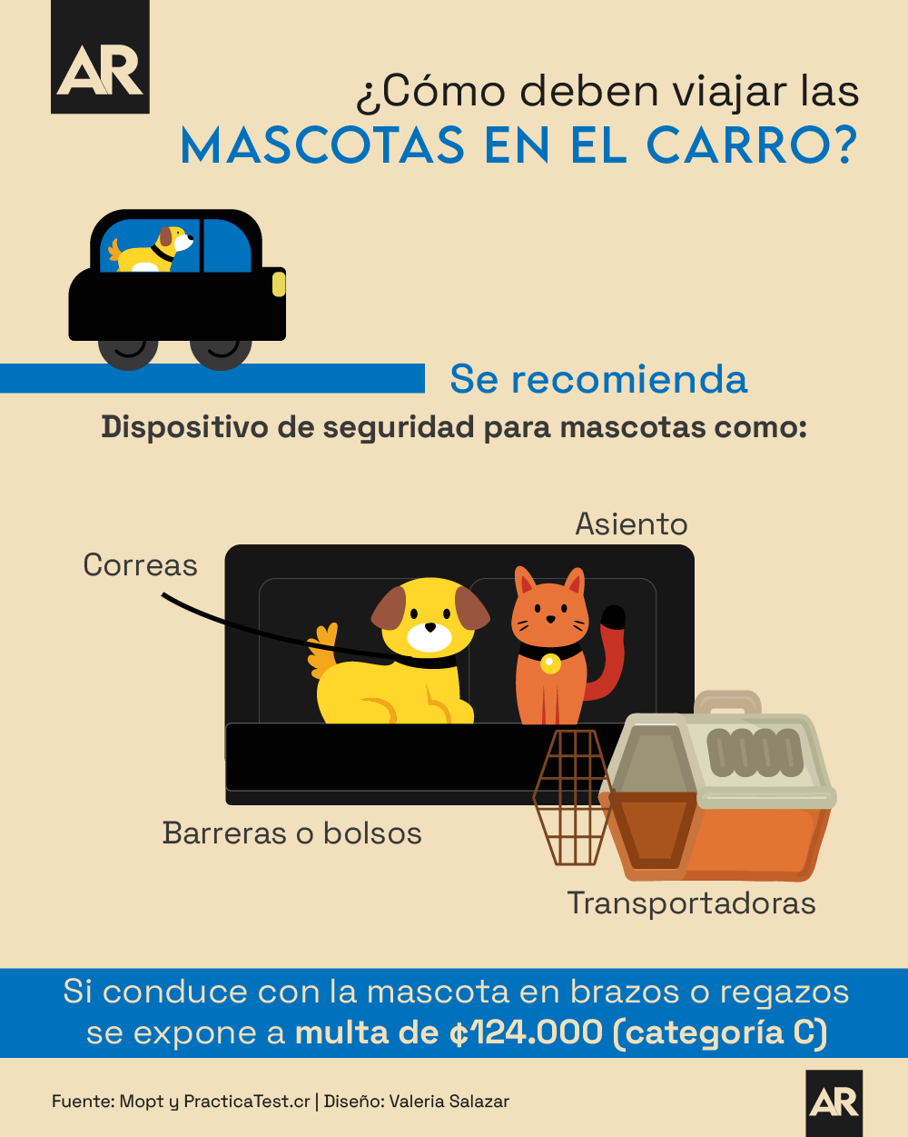 ¿Cómo deben viajar las mascotas en el carro?