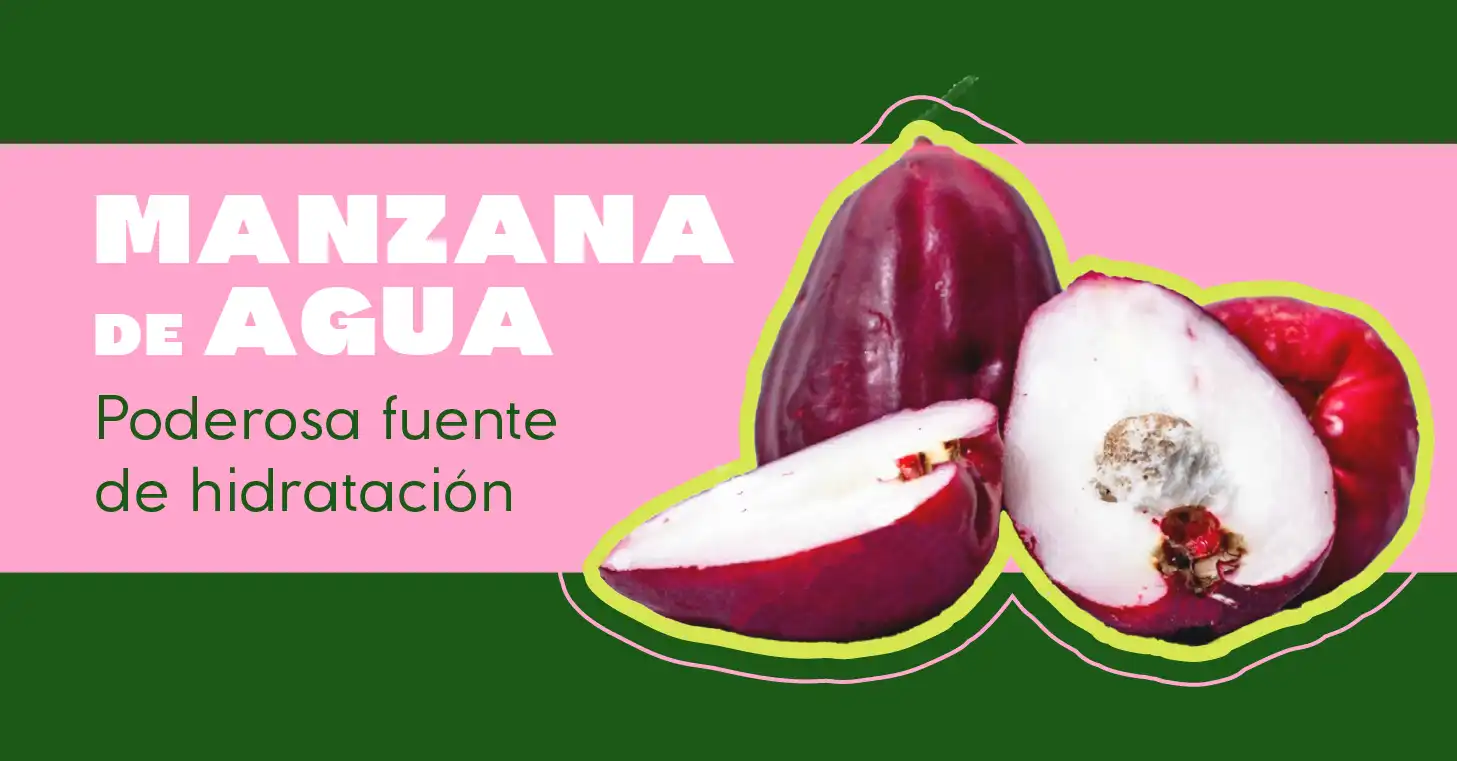 Manzana de agua: poderosa fuente de hidratación