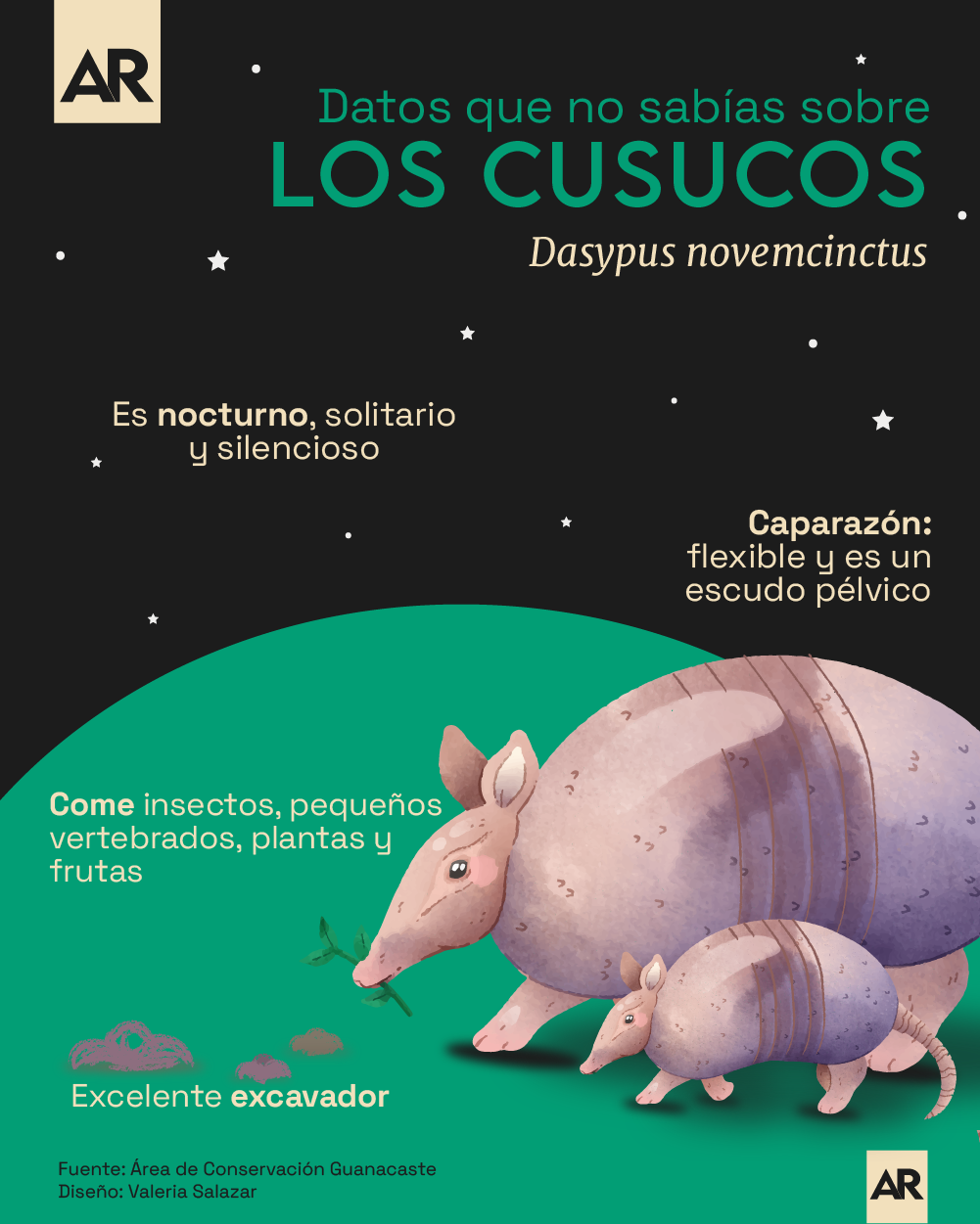 Datos que no sabías sobre los cusucos