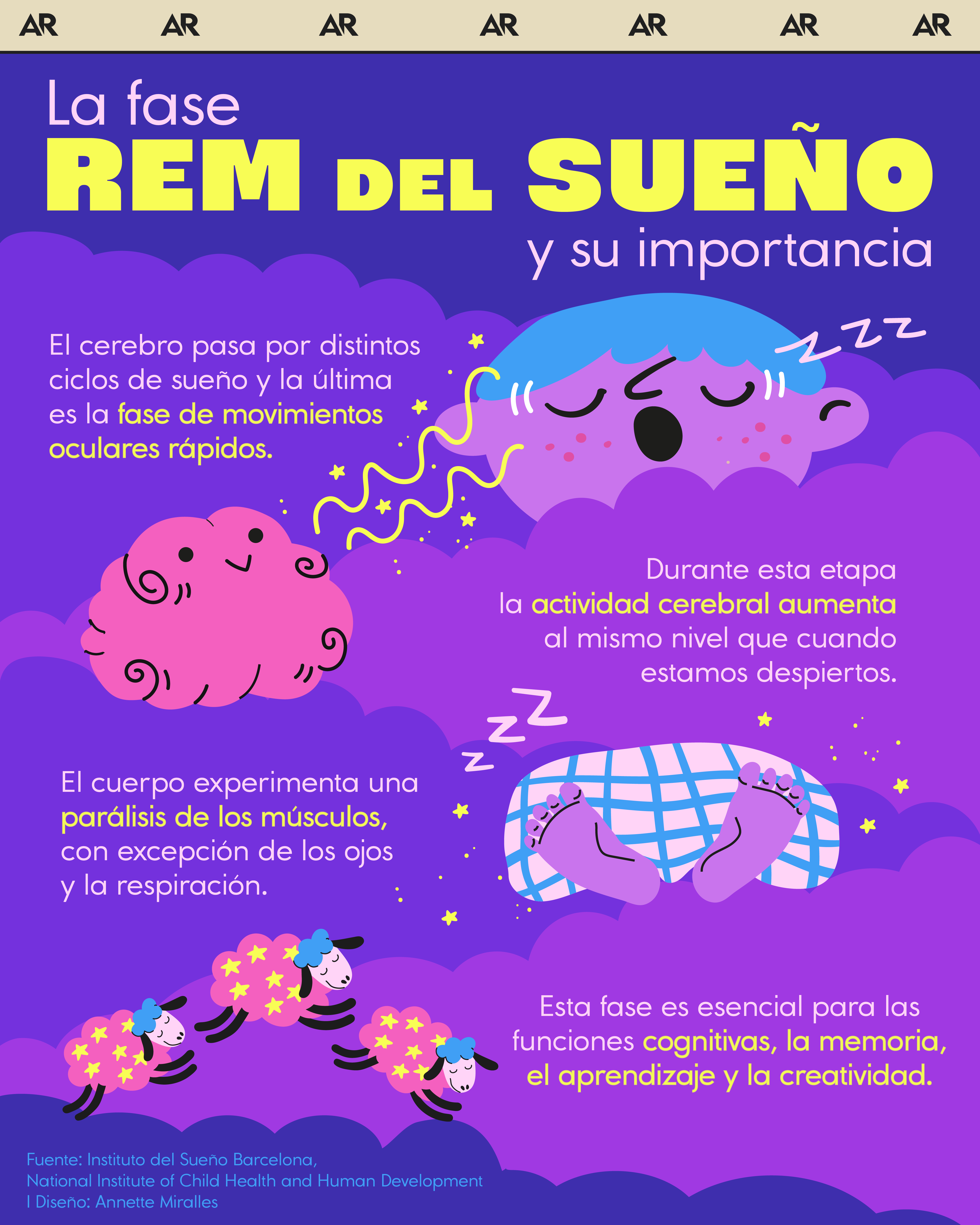 La fase REM del sueño y su importancia