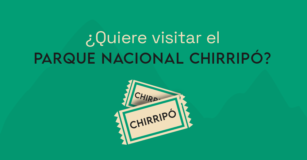¿Quiere visitar el parque nacional Chirripó? Esto es lo que debe saber