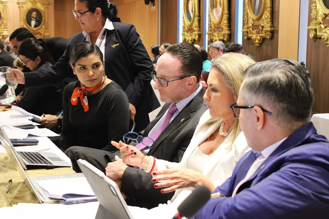 Liberal Progresista impulsa una segunda consulta de constitucionalidad ...