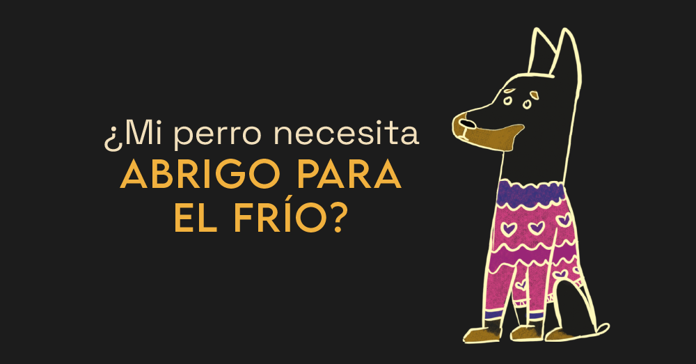 ¿Mi perro necesita abrigo para el frío?