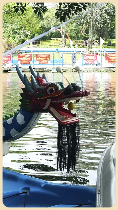 Así vivió Costa Rica su primera competencia de botes de dragón