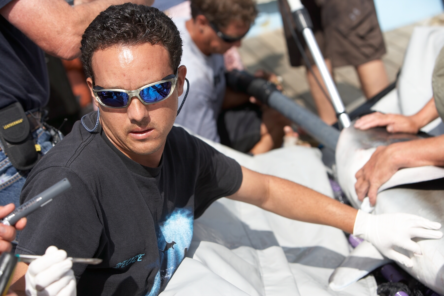 El mismo día que recibió un prestigioso premio, reconocido científico ...